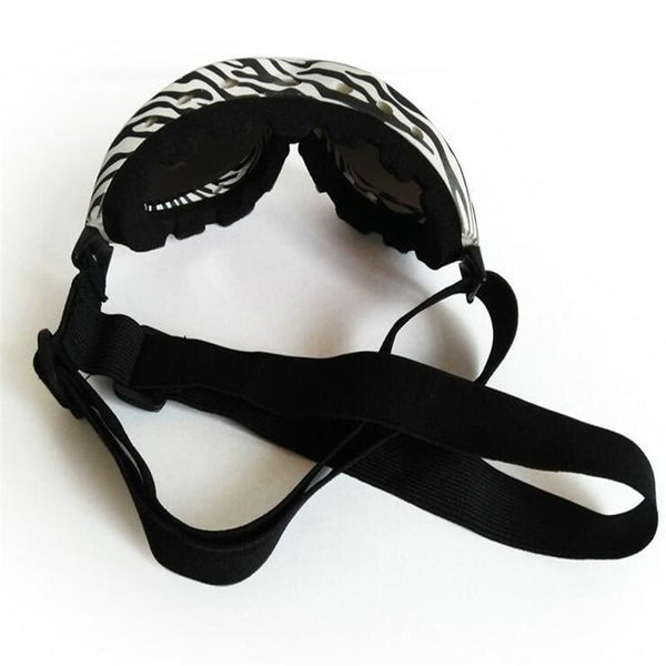 BUY DOGBABY Dog Goggles For Small Dogs To Ski / Snowboard ON SALE NOW ...